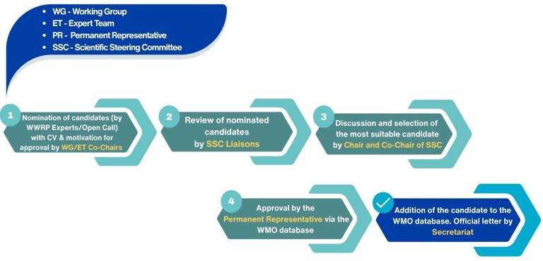 Working Group Nomination Process